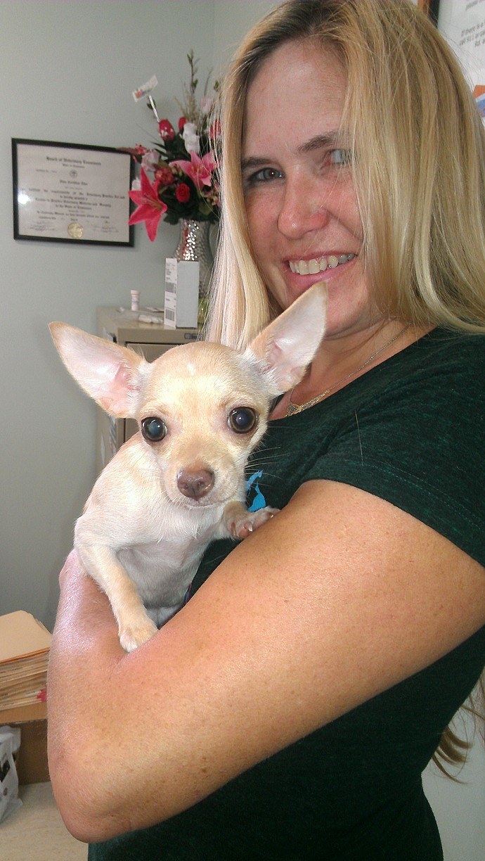 Grooming – nknoxvet.com